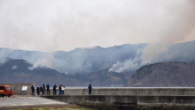 Country reeling from Japan's largest wildfire in 50 years: 'Nothing is ...