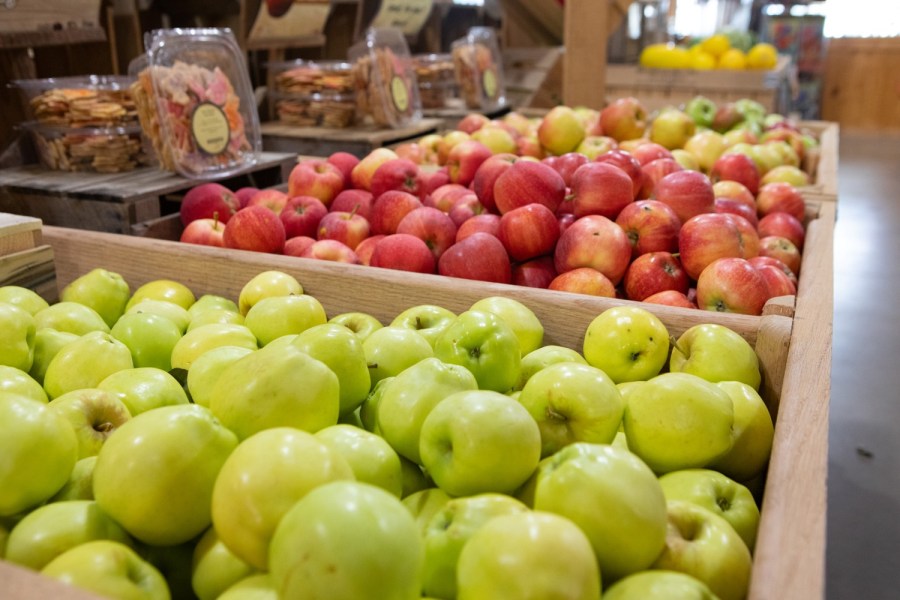 Pennsylvania issues full SNAP benefits after shutdown