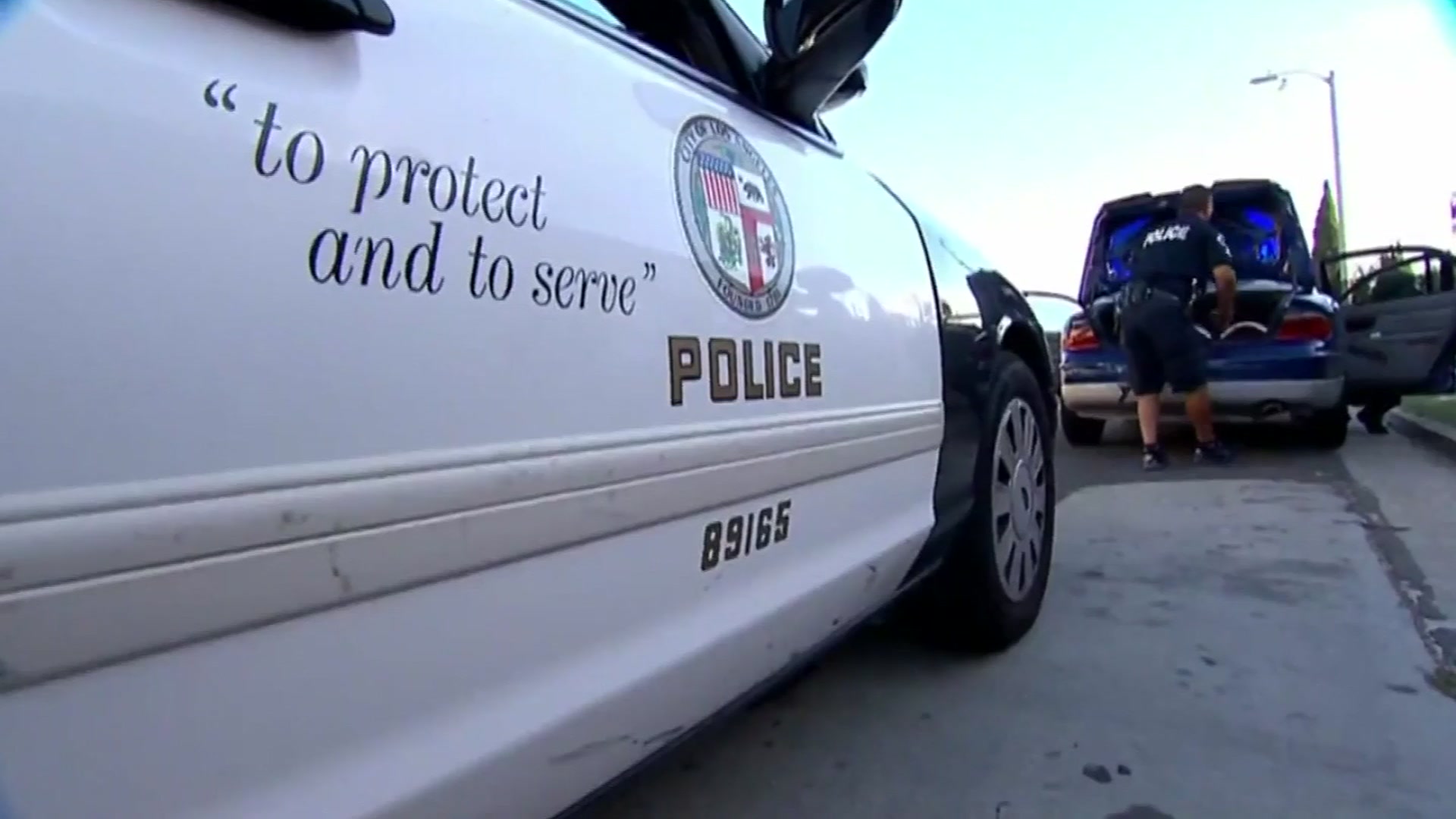 Finding dogs inside a car leads to a hate crime probe in North ...