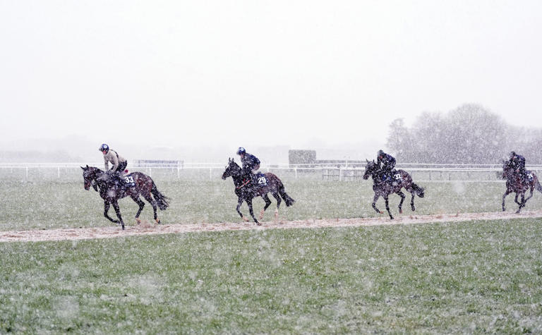Ice warning for UK as snow hits Cheltenham festival sparking 'fool's ...