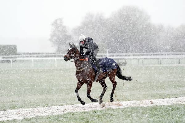 Ice warning for UK as snow hits Cheltenham festival sparking 'fool's ...