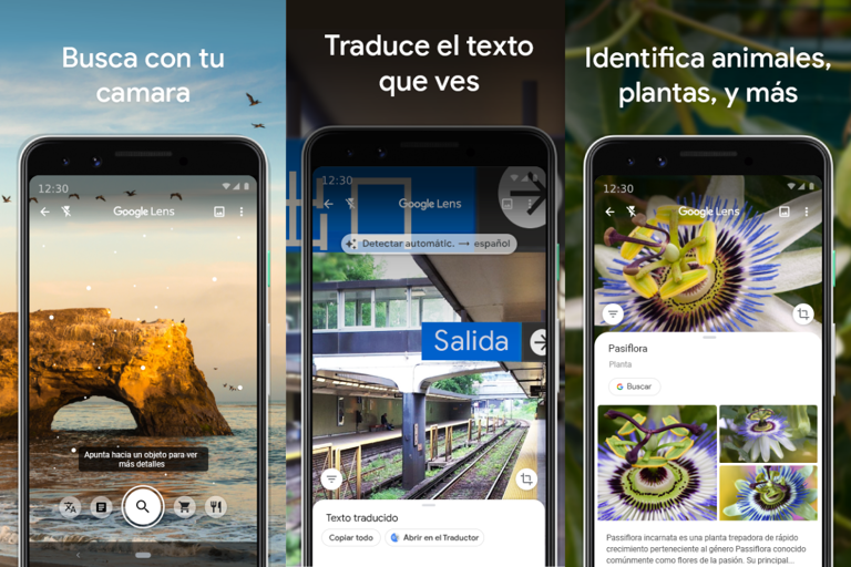Todo lo que Puedes Lograr con Google Lens: Guía Completa y Actualizada