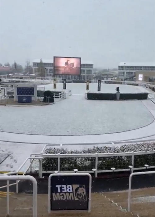 Watch: Sudden snow fall strikes Cheltenham Festival with inspection ...