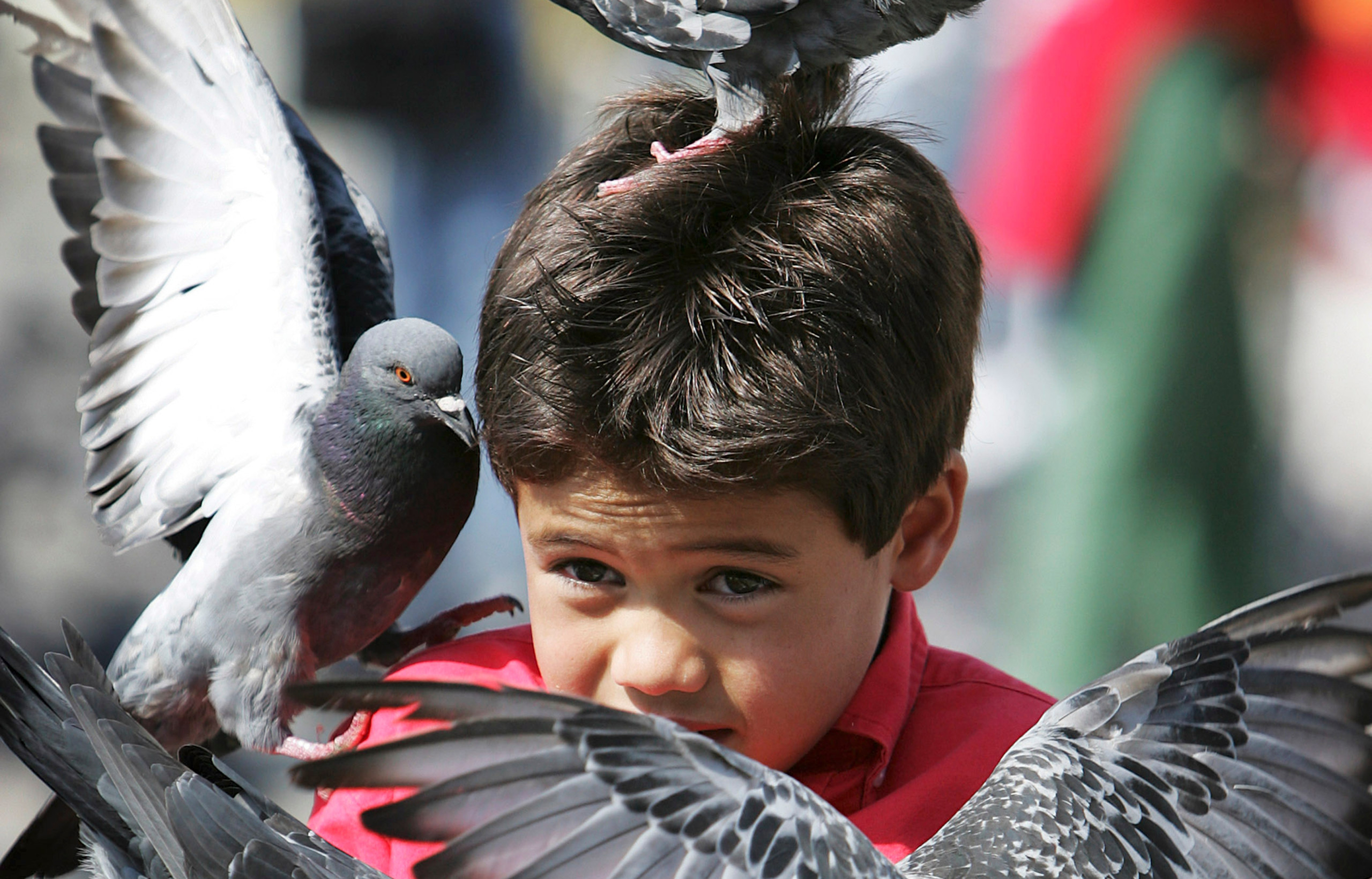 Why are some people afraid of animals?