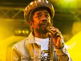 Cocoa Tea: Veteran Jamaican singer and songwriter, dies at 65