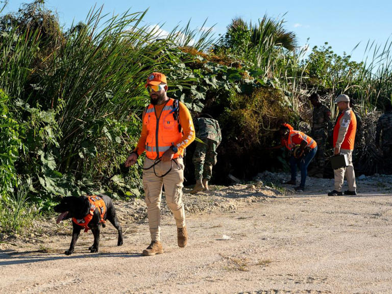 New details emerge in US college student's spring break disappearance