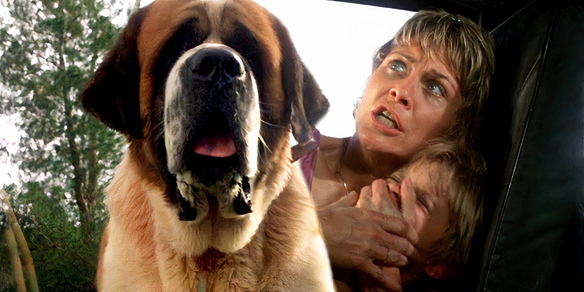 Iconic Stephen King Story Getting New Adaptation At Netflix After '80s ...