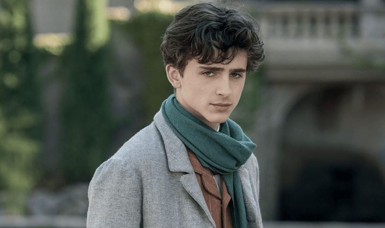 Timothee Chalamet's Most Iconic Roles