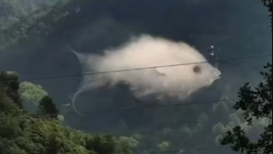 Fish or cloud? What you see first in this picture will reveal your ...
