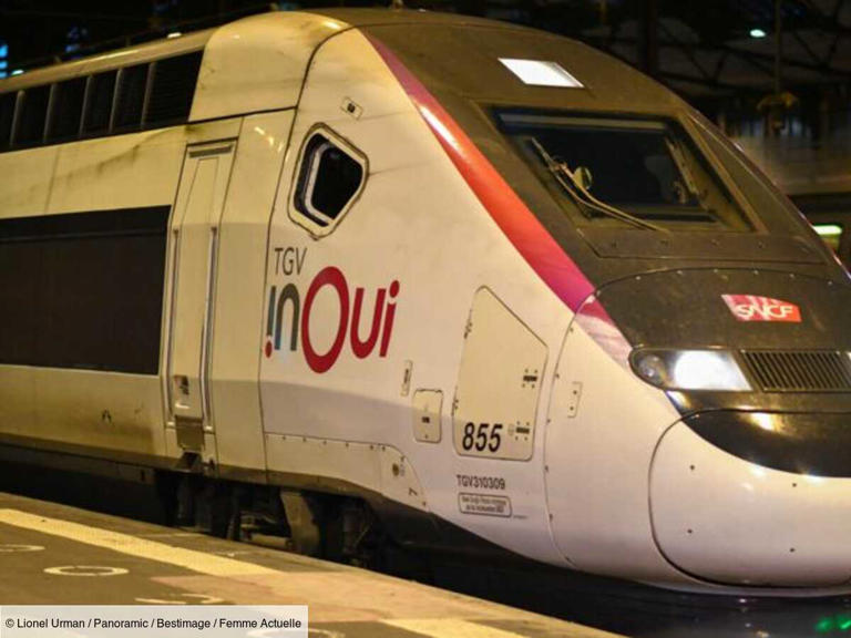 Mini-tablette, accès PMR, wagon bar… La SNCF dévoile ses nouveaux TGV et on adore