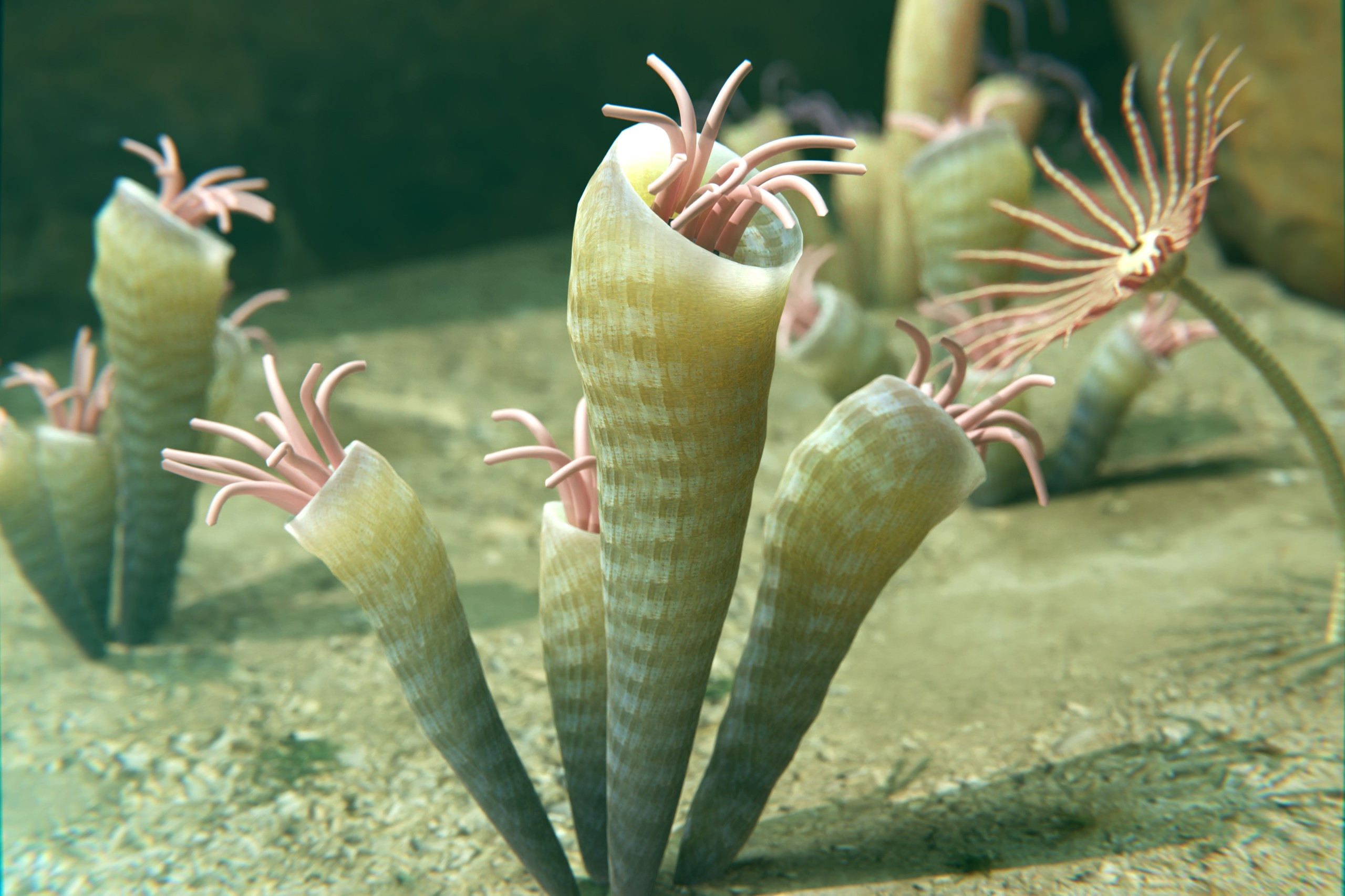 Sommes-nous en train de vivre une extinction massive