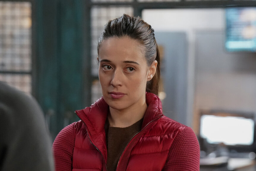 Meet the Full Cast of Chicago P.D. Season 13 and Their Newest Star ...