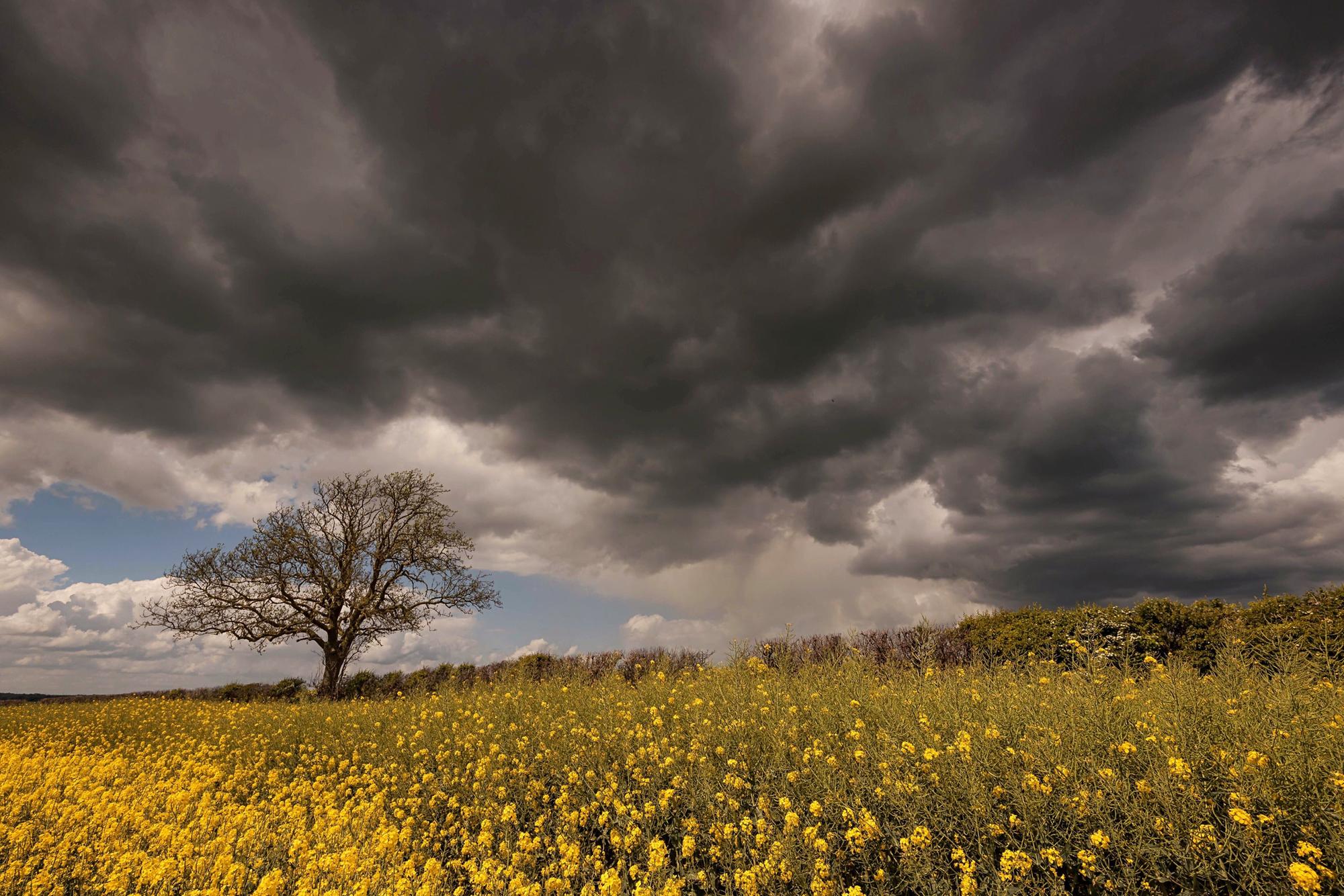 DEFRA's SFI Shutdown: Another crushing blow to farmers