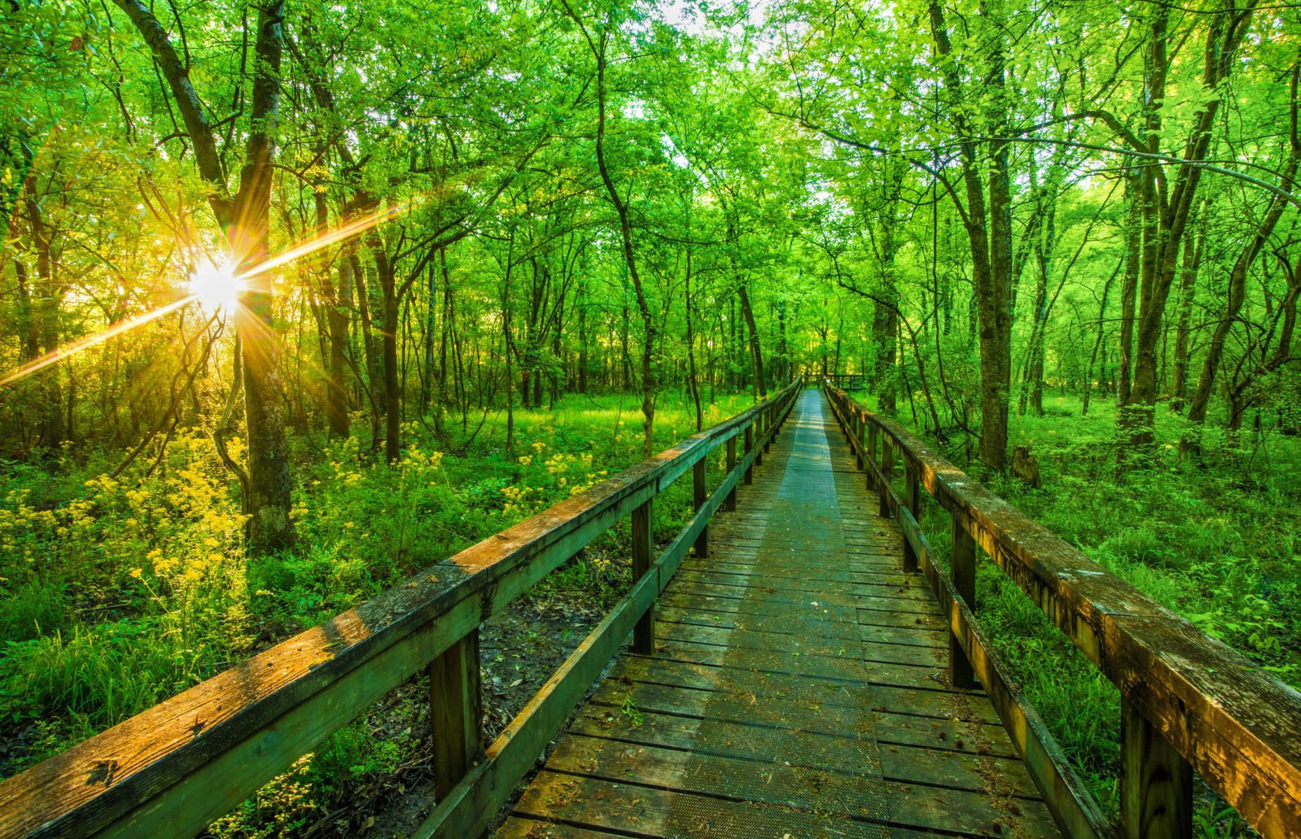 11 Of America's Best National Scenic Trails For A Hiking Adventure