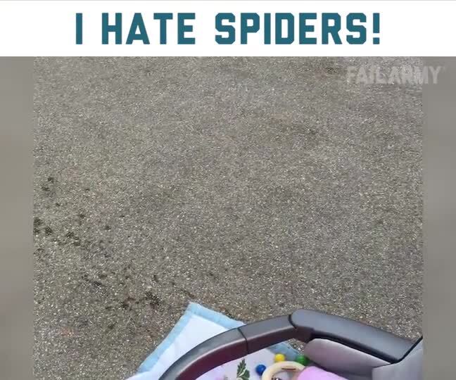 Spider Fails Part II