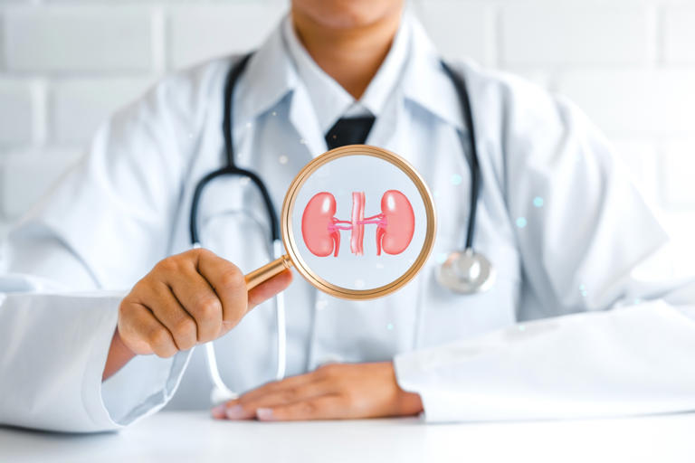 Can high-protein diets harm kidneys? Nephrologist shares safe intake ...