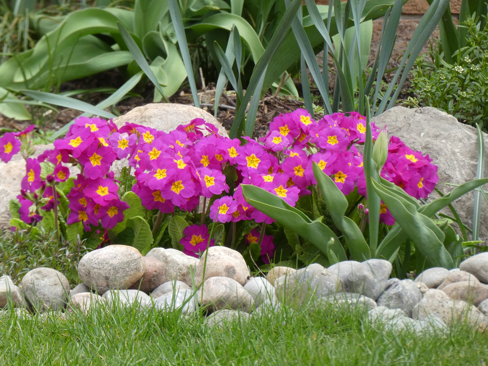 20 DIY Flower Bed Borders That Are More Creative Than Standard Edging