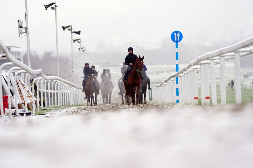 'Fool's spring' hits west country as snow falls amid Met Office UK ...