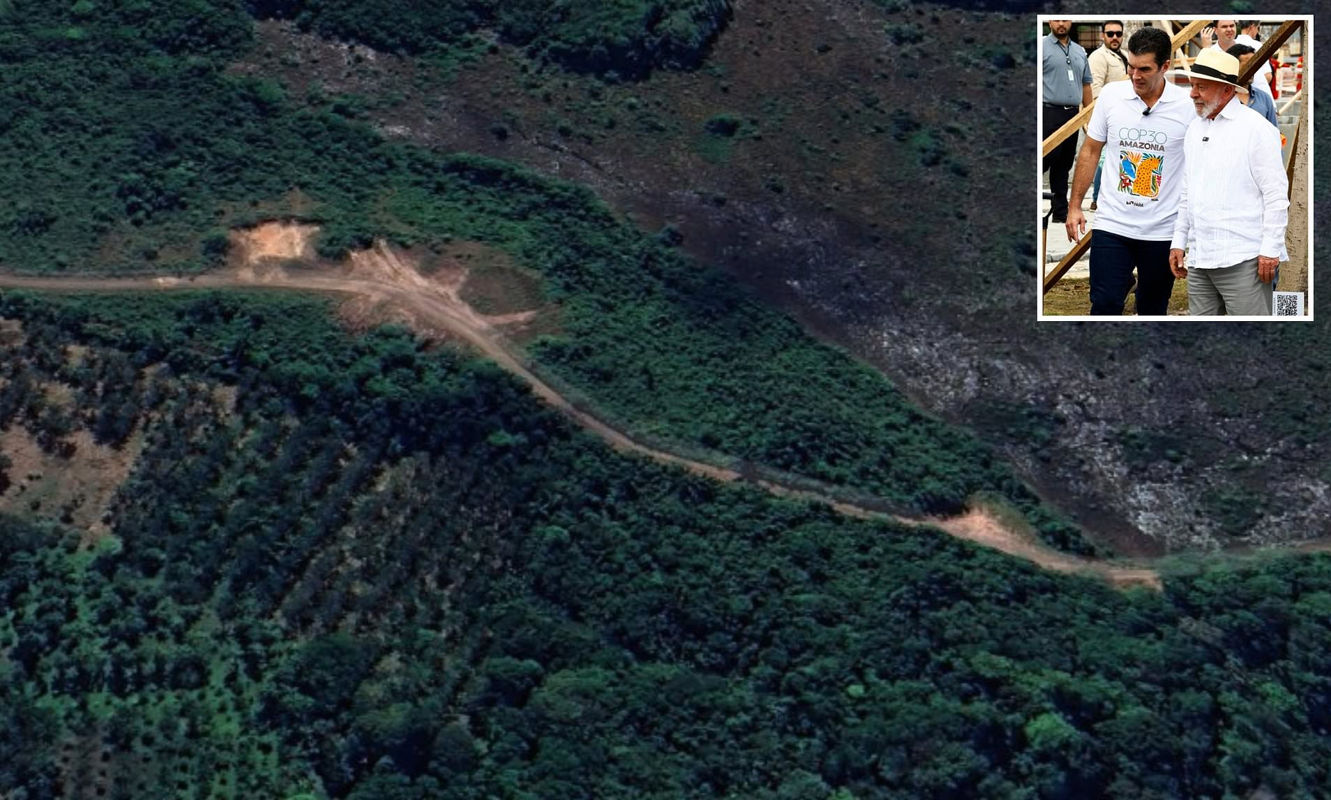 Eight-mile stretch of Amazon forest is felled... to build COP30 road