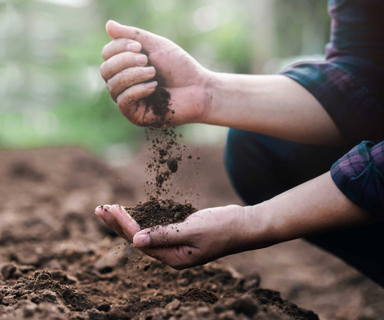 You've heard about it, but do you actually know what topsoil is ...