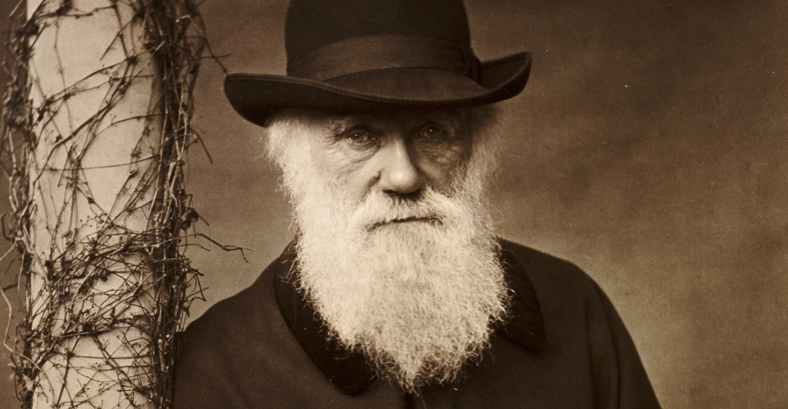 The evolutionary life of Charles Darwin