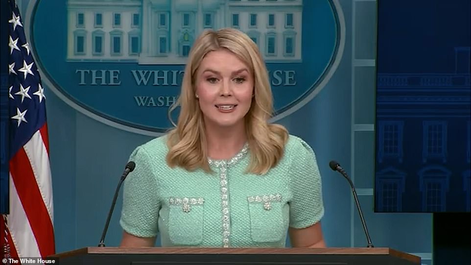 MSNBC's Wallace lashes Karoline Leavitt as 'tragically uninformed'