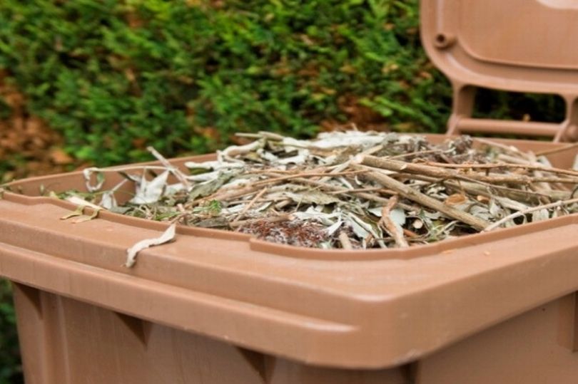 New weekly brown bin collections in Hull approved