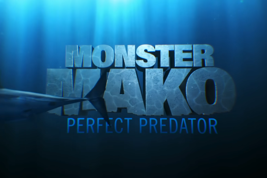 Dive into the Deep: The Top 10 Shark Week Episodes of the Last Decade ...