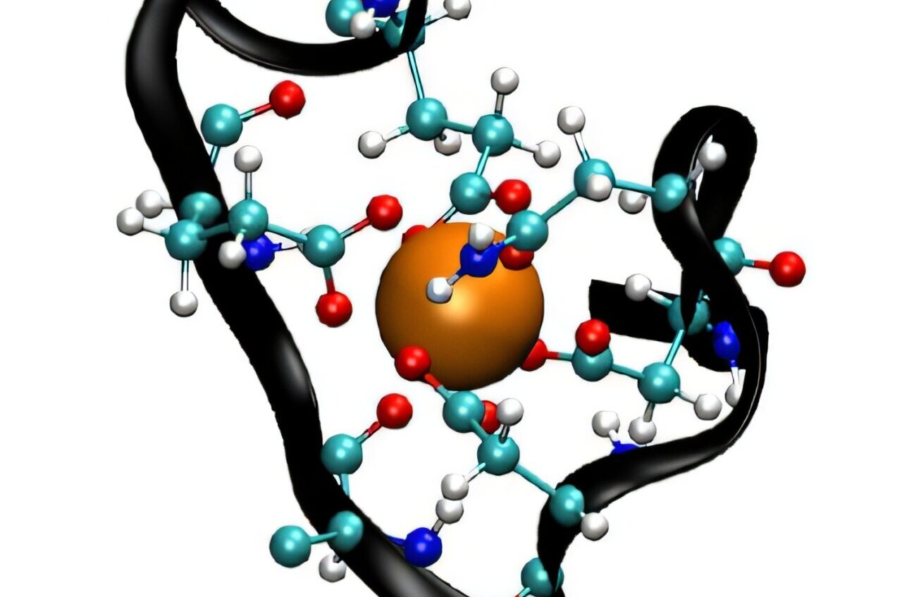 Eco-friendly rare earth element separation: A bioinspired solution to ...