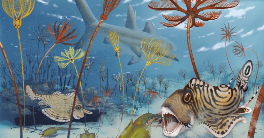 Ancient new shark species discovered in Mammoth Cave