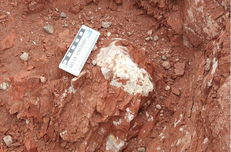 Terrestrial 'life oasis' from end-Permian mass extinction period discovered in China