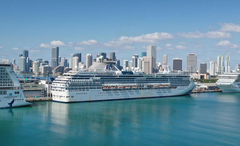 Norovirus outbreak sickens dozens of passengers on Princess Cruises ship