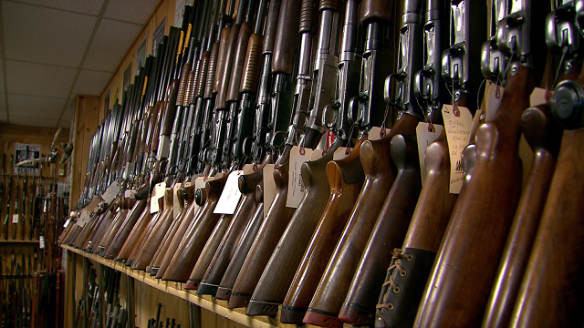 Oregon gun control law is constitutional, according to state appeals court