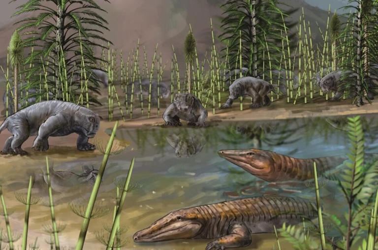 Terrestrial 'life oasis' from end-Permian mass extinction period discovered in China