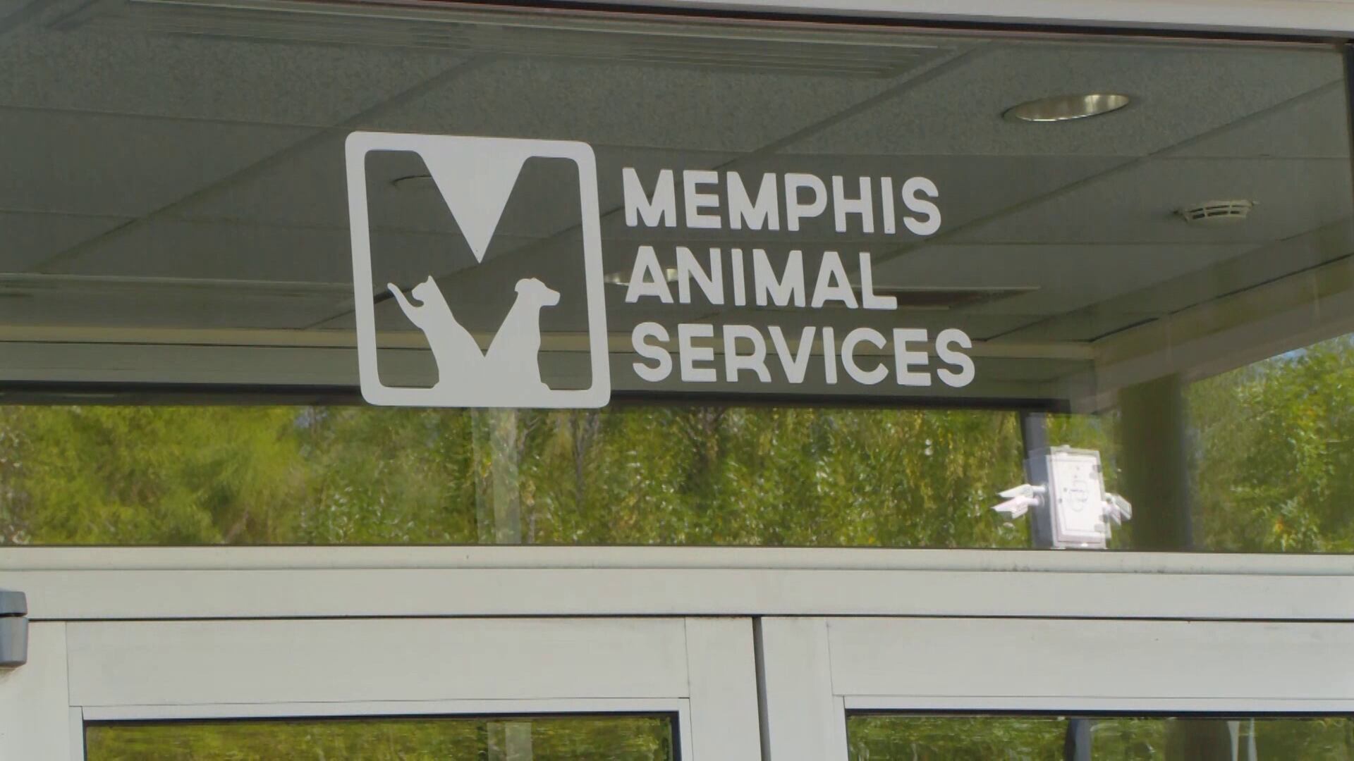 MAS to euthanize dogs amid CDV outbreak