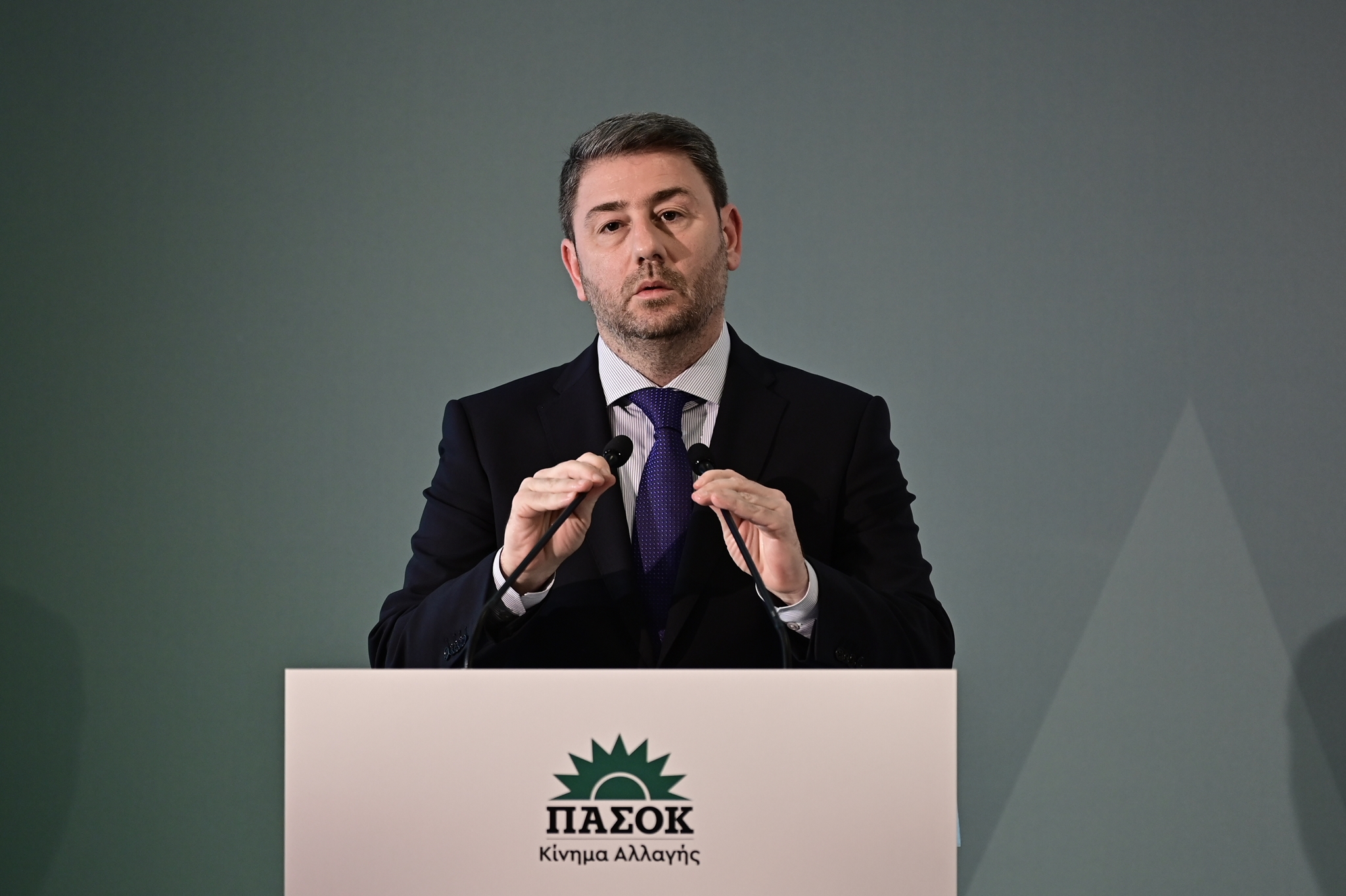 Ν. Ανδρουλάκης: Πρέπει το ΠΑΣΟΚ να είναι πρώτο κόμμα στις εκλογές ...