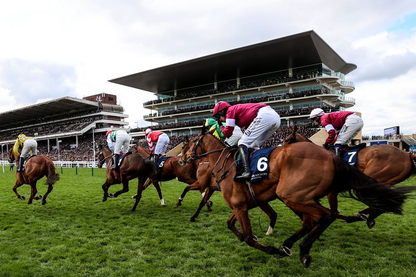 Cheltenham Festival 2025 tips and full race card for Day Three - a list ...