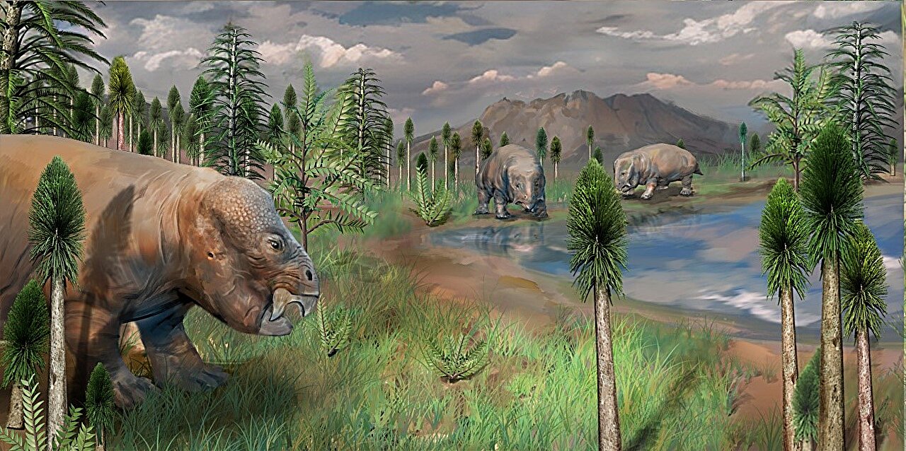 Terrestrial 'life oasis' from end-Permian mass extinction period ...