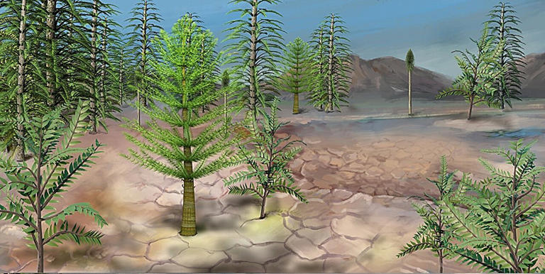 Terrestrial 'life oasis' from end-Permian mass extinction period discovered in China