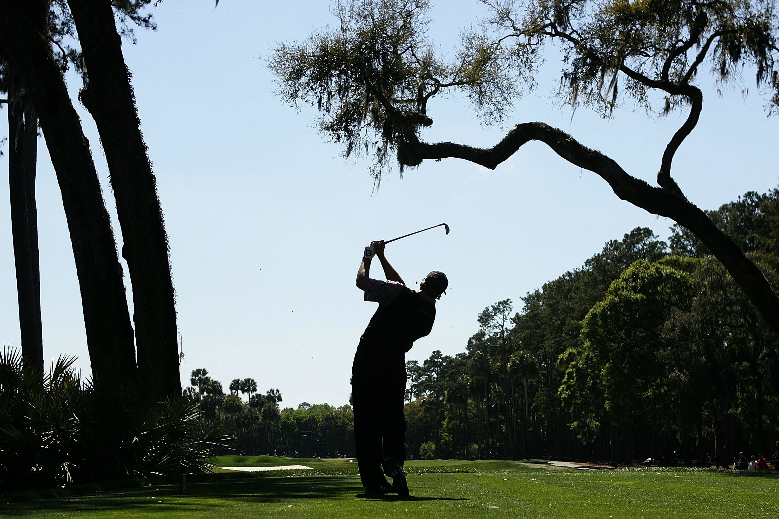 Meet 'The Tree' at TPC Sawgrass that has every golfer petrified ahead ...