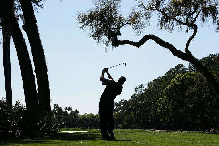Meet 'The Tree' at TPC Sawgrass that has every golfer petrified ahead ...