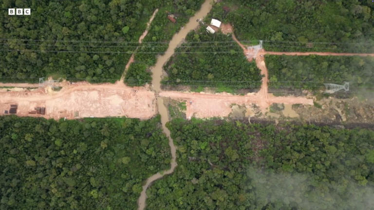 Stretch of Amazon rainforest destroyed to build four-lane highway for ...