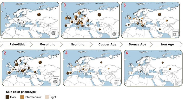 Most ancient Europeans had dark skin, eyes and hair up until 3,000 ...