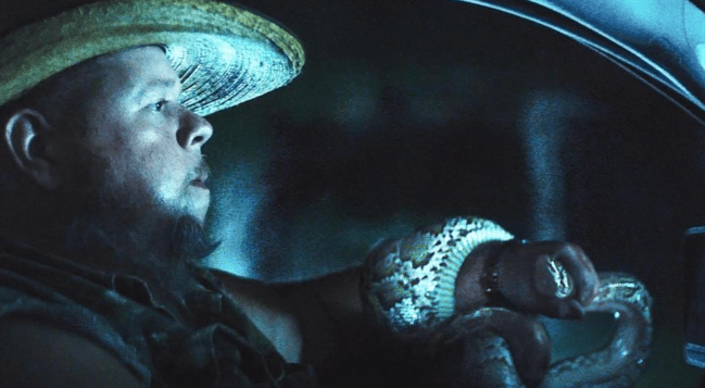 ‘The Python Hunt' Review: This Insane Look at an All-Night Snake ...