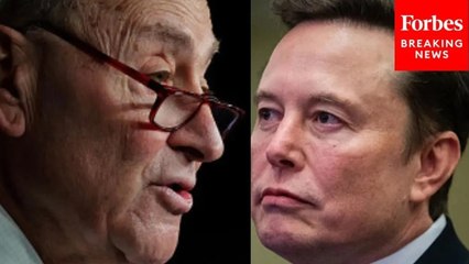 Chuck Schumer Unleashes On Elon Musk For Call To 'Eliminate' Entitlements