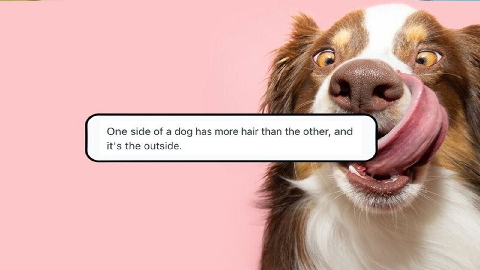 31 Jokes That Are Both Funny and Technically True