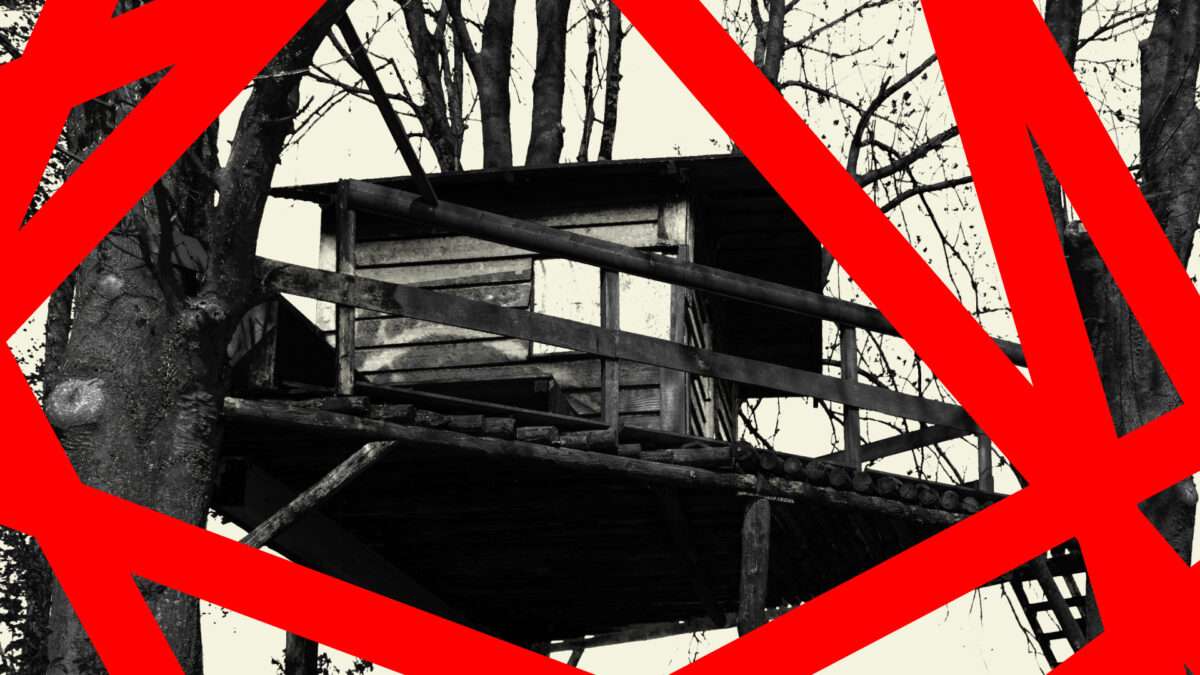 Government Goons Destroy Tree House