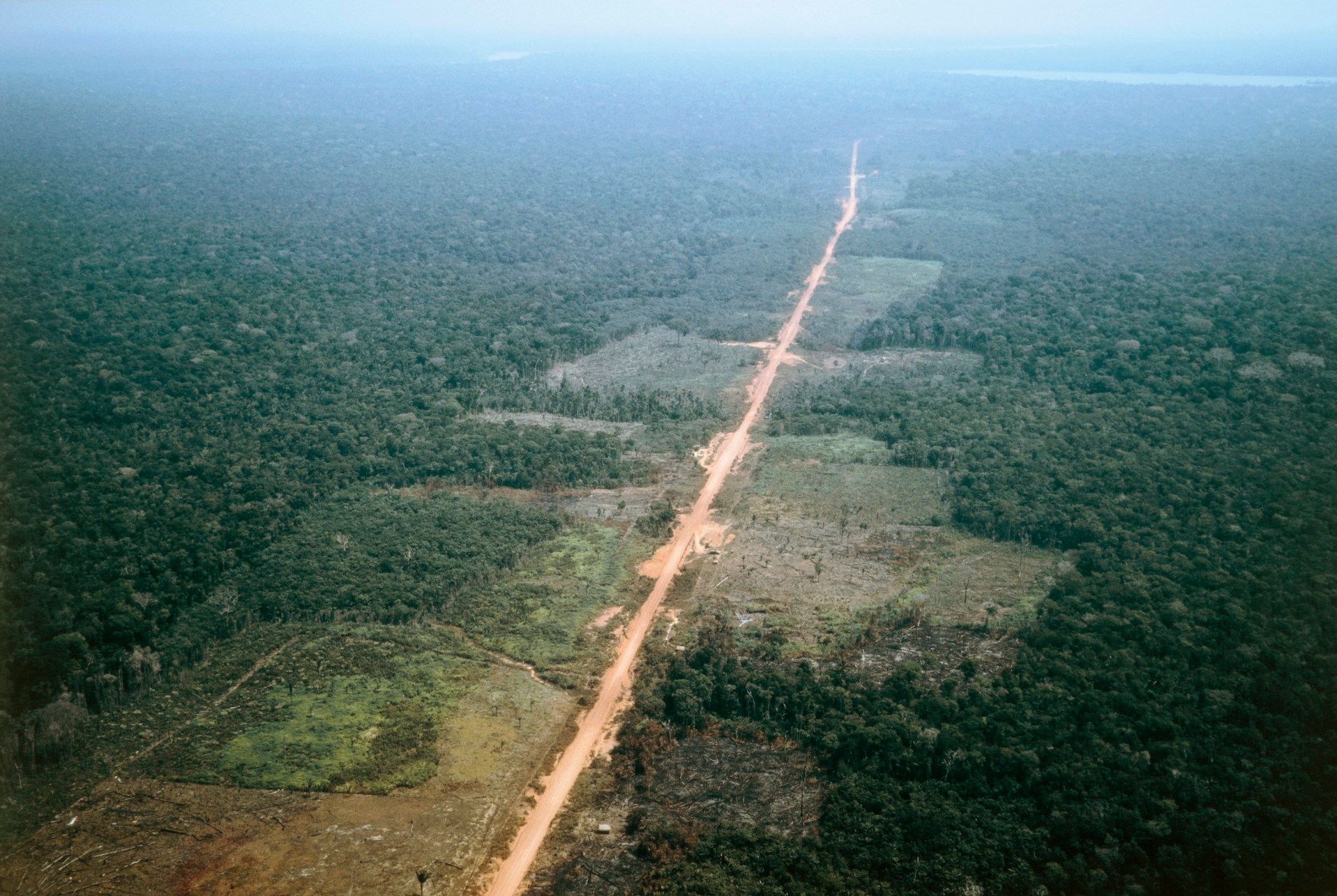 Acres of Amazon rainforest trees cut down to build road for climate summit