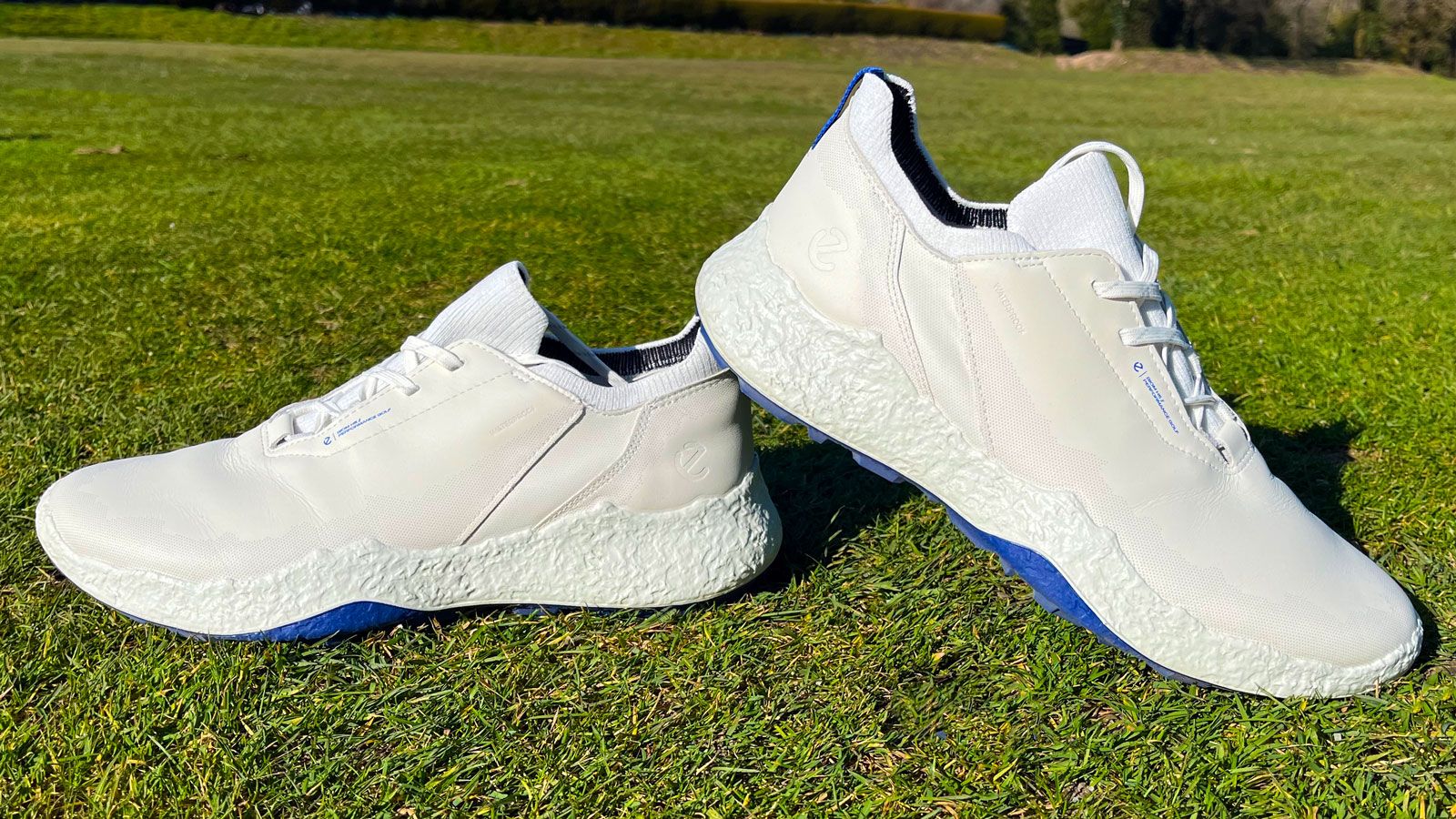 Ecco Biom H5 Golf Shoe Review