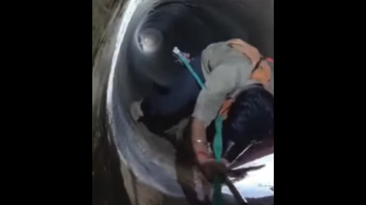 ‘Uncapped Hero’: Internet Lauds Man For Rescuing Cat Trapped In 120 ...